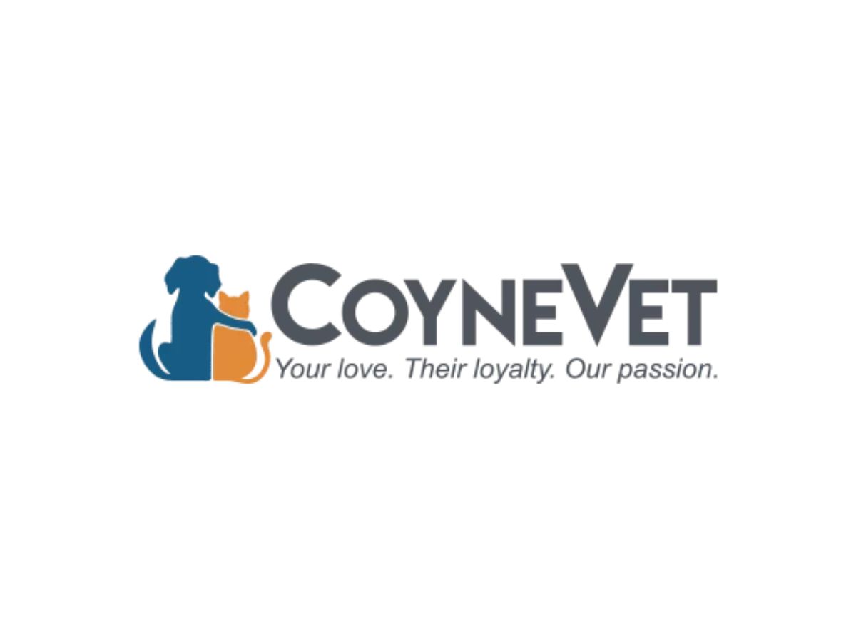 Animal Hospital | Veterinarian in St. John, IN